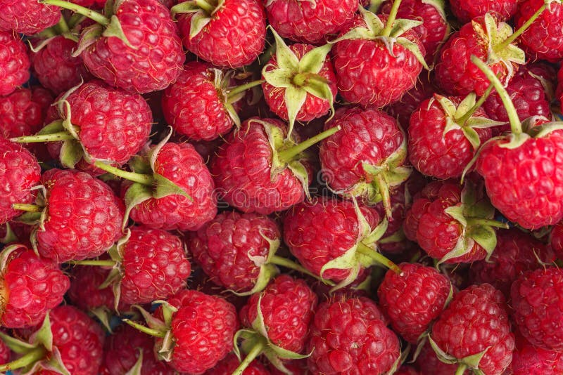 Sweet Raspberry As a Background. Stock Image - Image of food ...