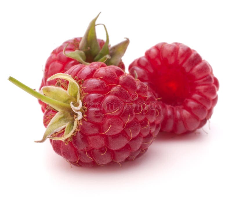Raspberry and blackberry stock photo. Image of gourmet - 48142064