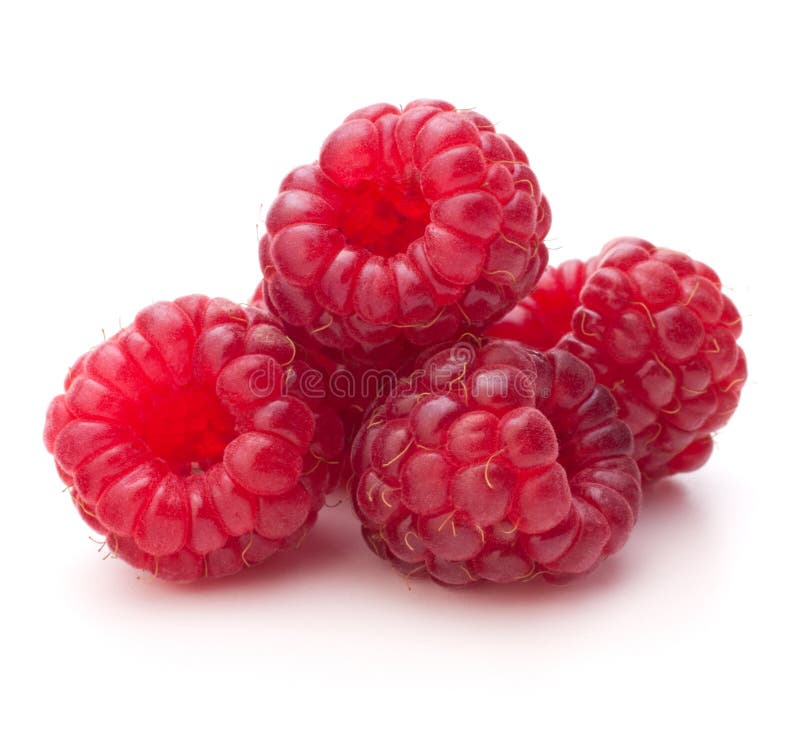 Raspberry stock image. Image of desert, natural, delicious - 10038145