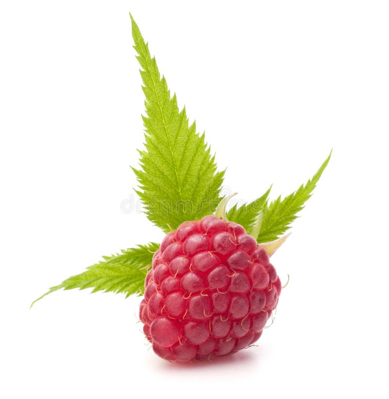 Sweet Raspberry Isolated on White Background Cutout Stock Photo - Image ...