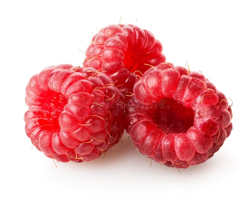 Raspberry stock image. Image of desert, natural, delicious - 10038145