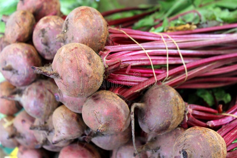 Beet /beetroot stock image. Image of vegetable, vegetarian - 12737521