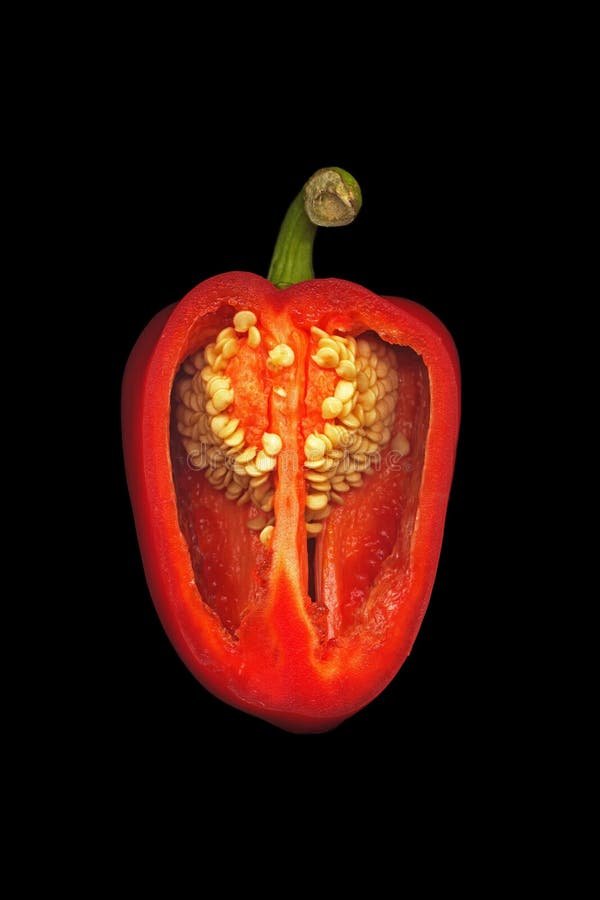 Sweet Red Capsicum in a Section Stock Photo - Image of plant, vegetable ...