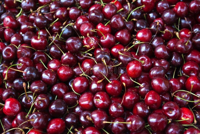 Sweet red cherries stock photo. Image of nutrient, market - 26787024