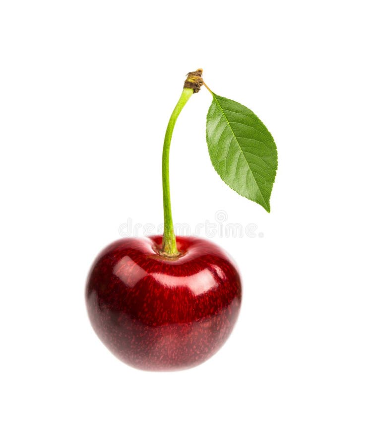 Cherry stock image. Image of white, healthy, ripe, berry - 21536167