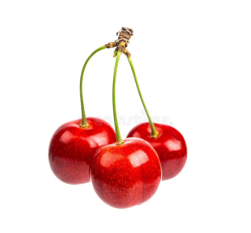 Sweet red cherry stock photo. Image of juicy, sweet, stem - 42040540
