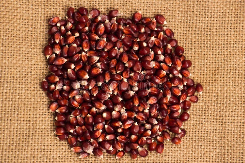 Sweet red corn stock image. Image of cooking, agriculture - 51246837