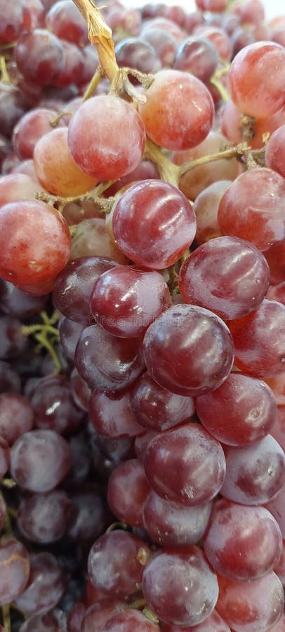 Sweet Red Grapes and Sparkling Fruit Stock Photo - Image of apple ...