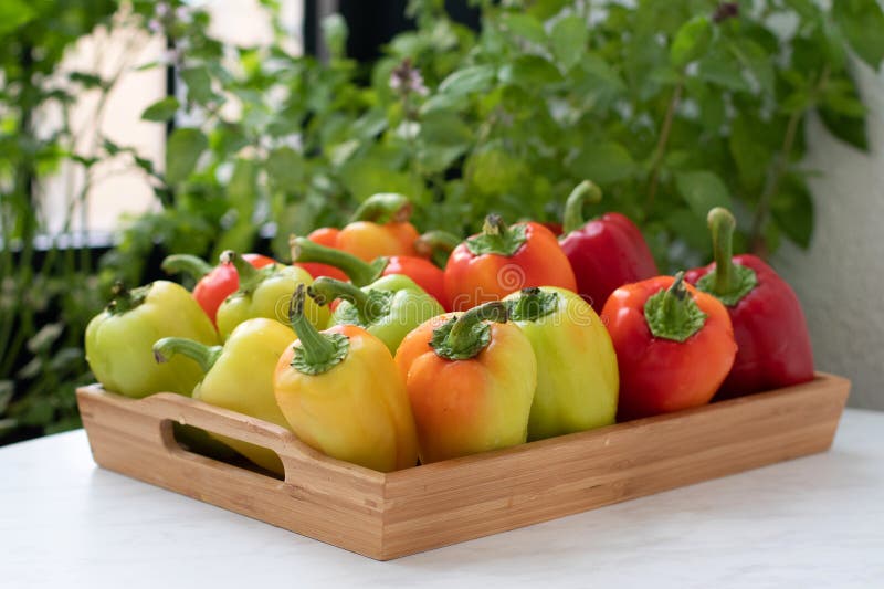 Sweet Red Pepper in a Wooden Tray on a White Table Stock Image - Image ...
