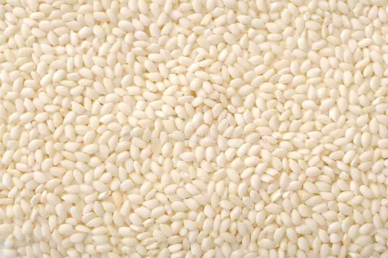 Sweet rice stock photo. Image of grain, abundance, pearl - 33423784