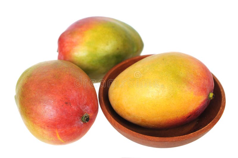 Sweet single mango stock image. Image of natural, delicious - 31337241