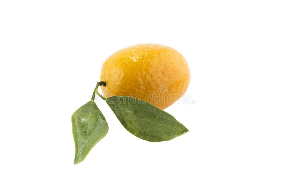 Sweet Small Orange stock photo. Image of health, circle - 34236318