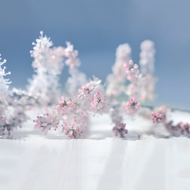 Sweet soft pink flowers. stock photo. Image of fresh - 140141052