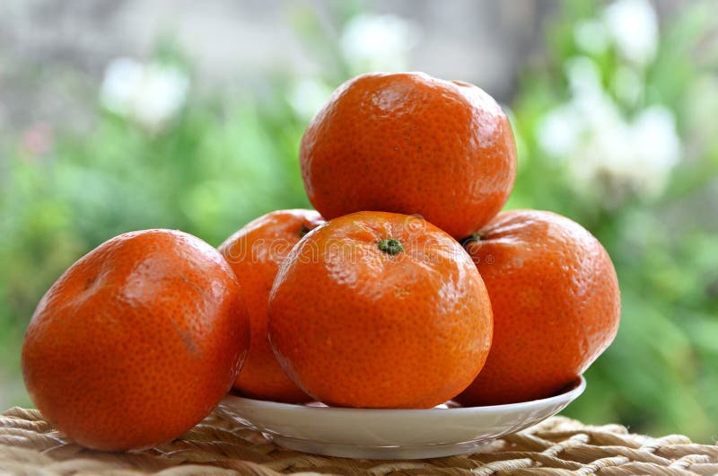 Sweet Spanish Mini Tangerines Stock Image - Image of natural, tangerine ...