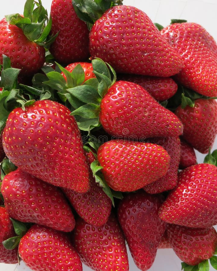Sweet strawberries stock photo. Image of fruit, produce - 53143048