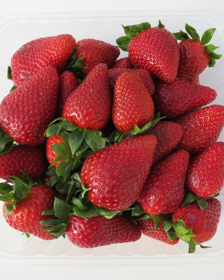 Sweet strawberries stock photo. Image of fruit, produce - 53143048