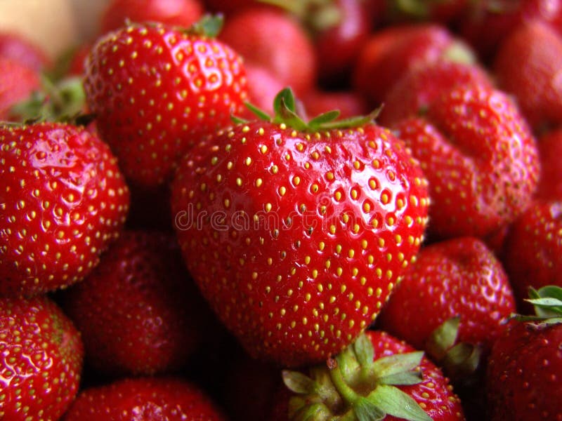 Sweet Strawberry stock photo. Image of healthy, sweet, fresh - 809800