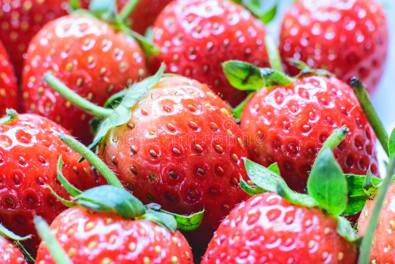 Sweet Strawberry. Fresh Strawberry. Red Strewberry. Stock Photo - Image ...