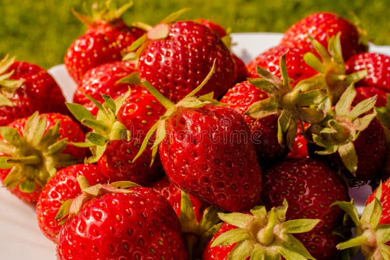 Sweet strawberry stock photo. Image of gardening, diet - 94036506