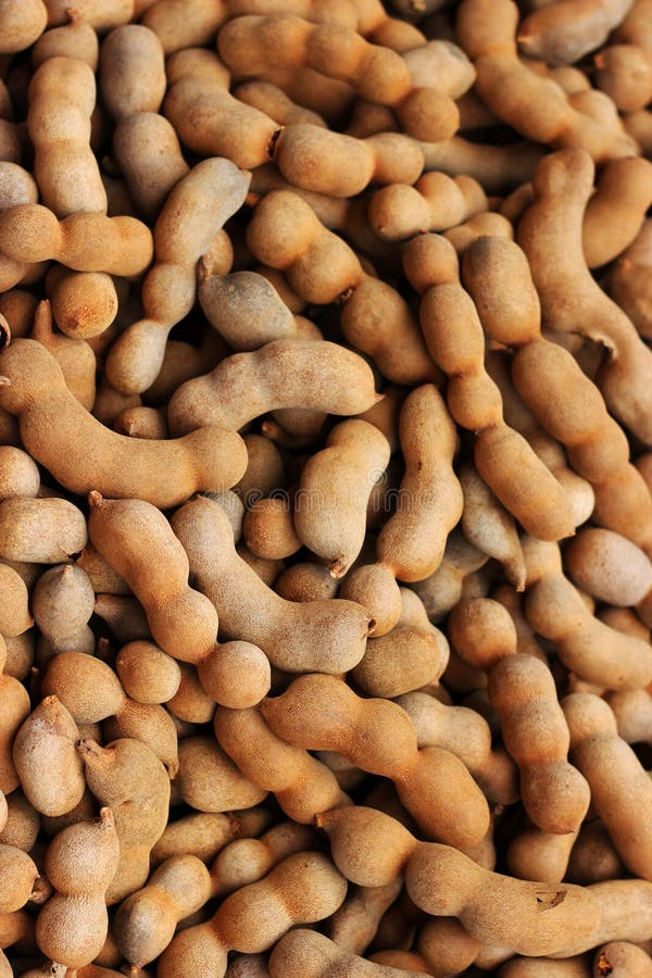 Sweet tamarind. stock image. Image of isolated, candy - 29187757