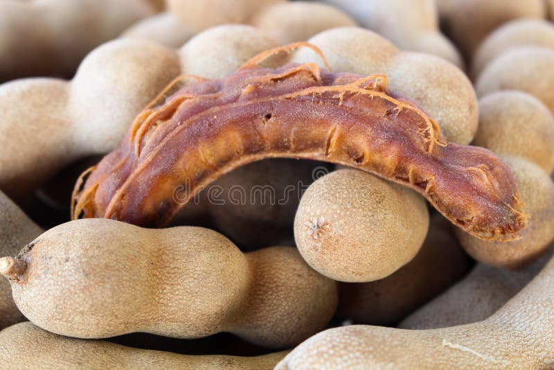 Sweet tamarind stock photo. Image of product, processing - 38060822