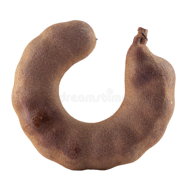 Fresh Tamarind Pod Brown Shell Transparent Background Stock Photos ...