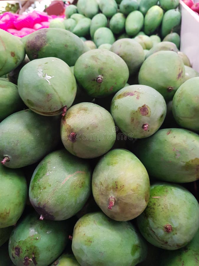 Sweet Taste Mango Fruit Fresh Good Vitamins and Healthy Stock Photo ...