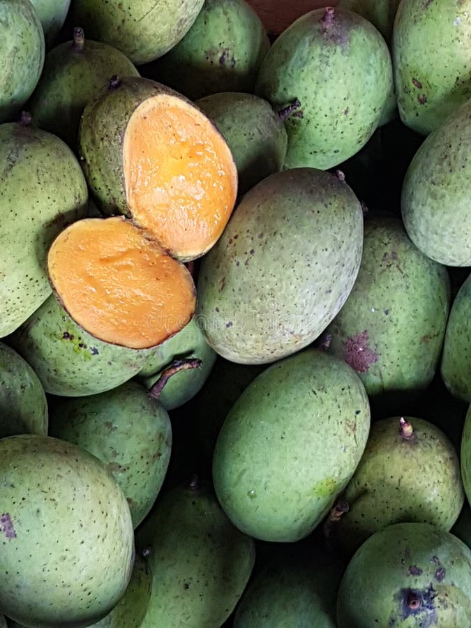 Sweet taste mango fruits stock photo. Image of dessert - 206522384