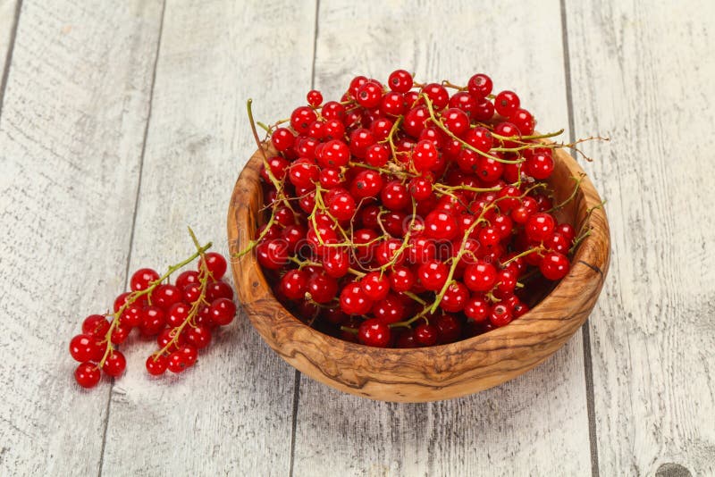 Sweet Tasty Fresh Red Currant Stock Image - Image of diet, group: 152766455