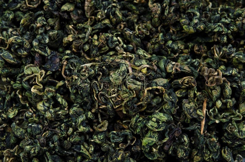 Sweet tea vine stock image. Image of fresh, leaf, jiaogulan - 24976255