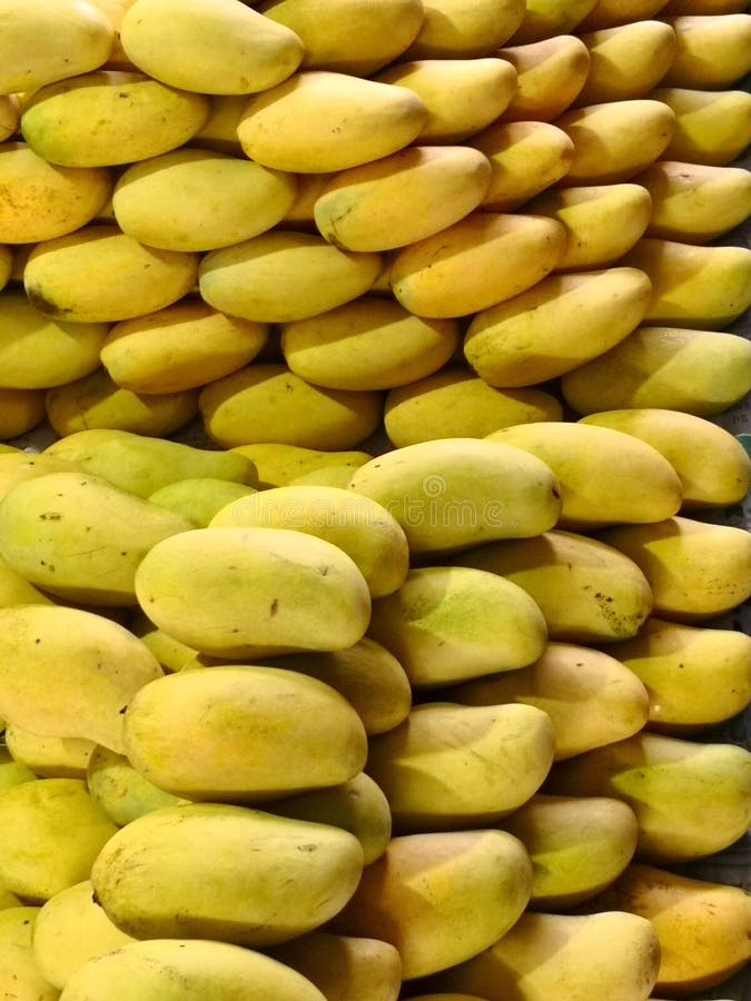 Mangoes stock photo. Image of thaifruit, yellowmango - 138918108