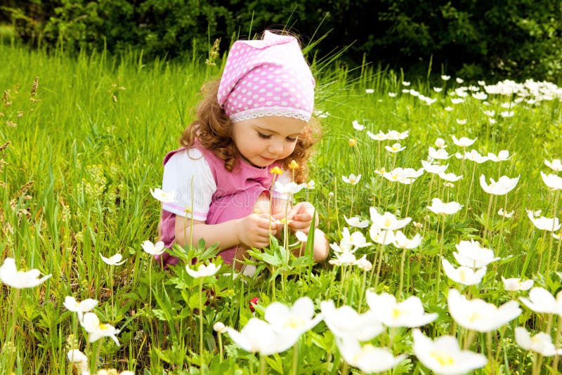 Sweet Toddler Boy Sitting in a Stroller Outdoors. Little Child in Pram ...