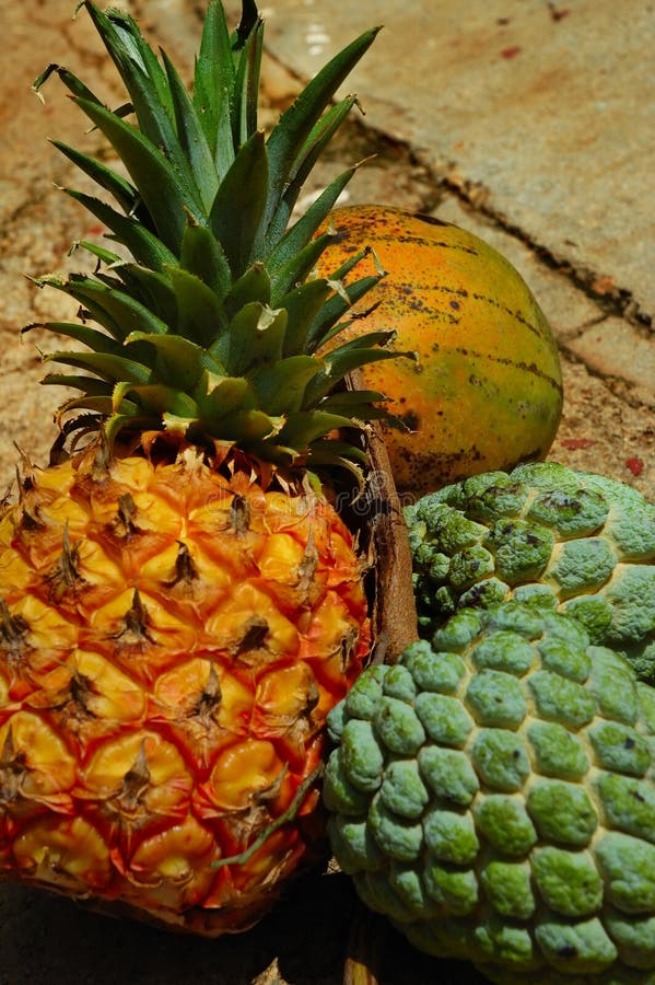 Sweet tropical fruits stock photo. Image of appetizing - 11115546