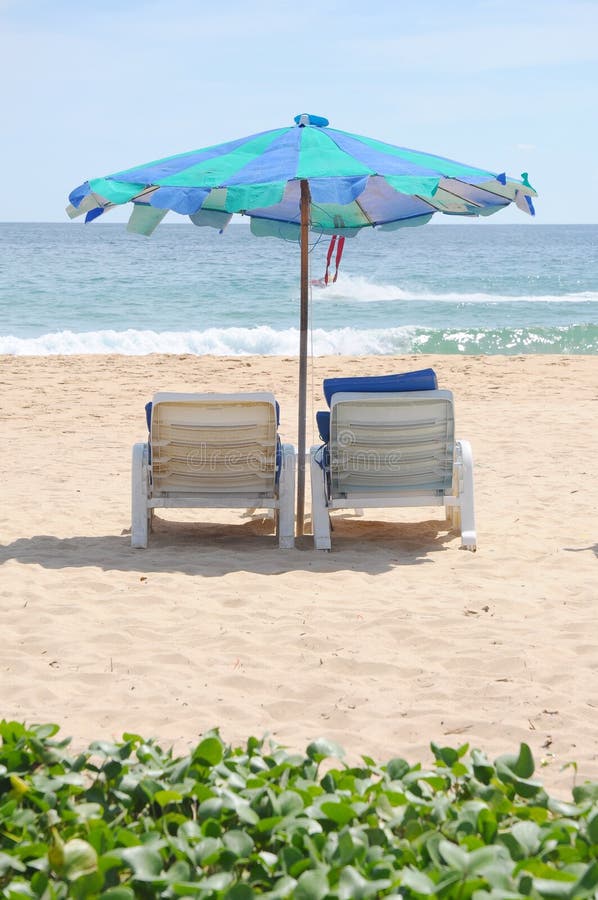 Sweet under sunlight stock photo. Image of sweet, honeymoon - 62325542