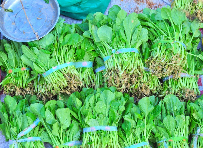 Sweet vegetable market stock photo. Image of street, scale - 21601278