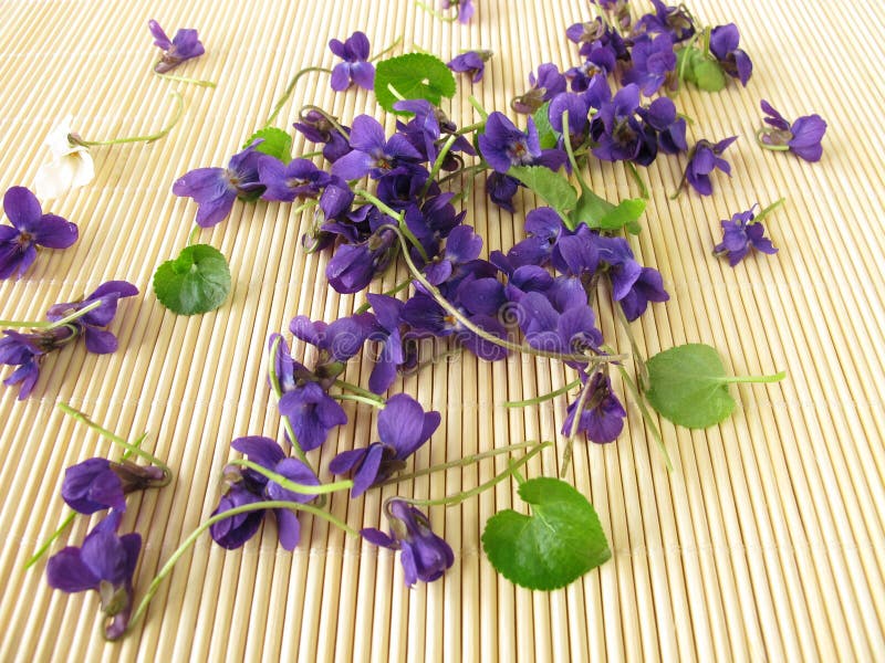 Sweet violets stock image. Image of edible, flowers, parfum - 34464795