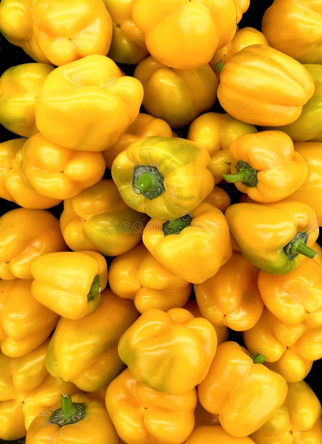Sweet Yellow Color Capsicums Stock Image - Image of healthy, sale ...