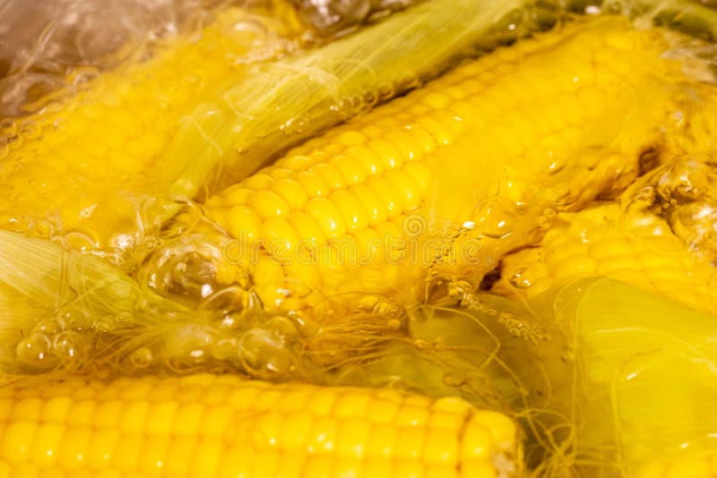 Sweet Yellow Corn in Boiling Water. Close-up Stock Photo - Image of ...
