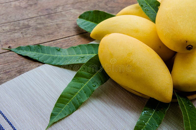 Sweet Yellow Mango Fruit on Summer on Wood Table Stock Photo - Image of ...