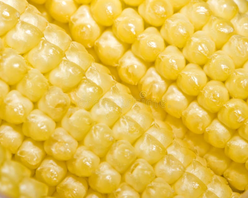 Sweetcorn background stock photo. Image of closeup, close - 18027518