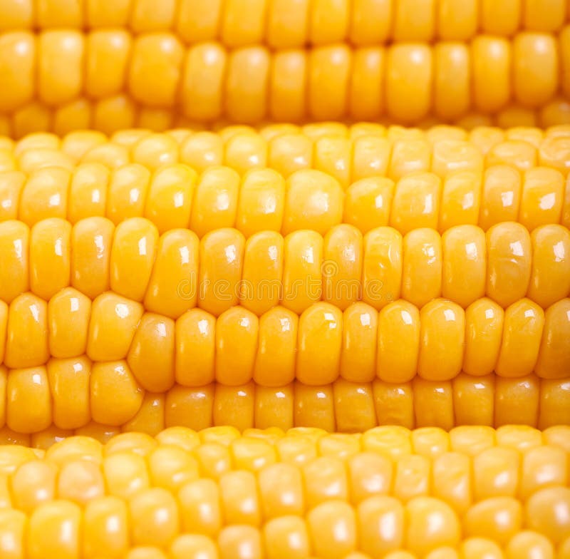 Sweetcorn background stock image. Image of close, maize - 27351699