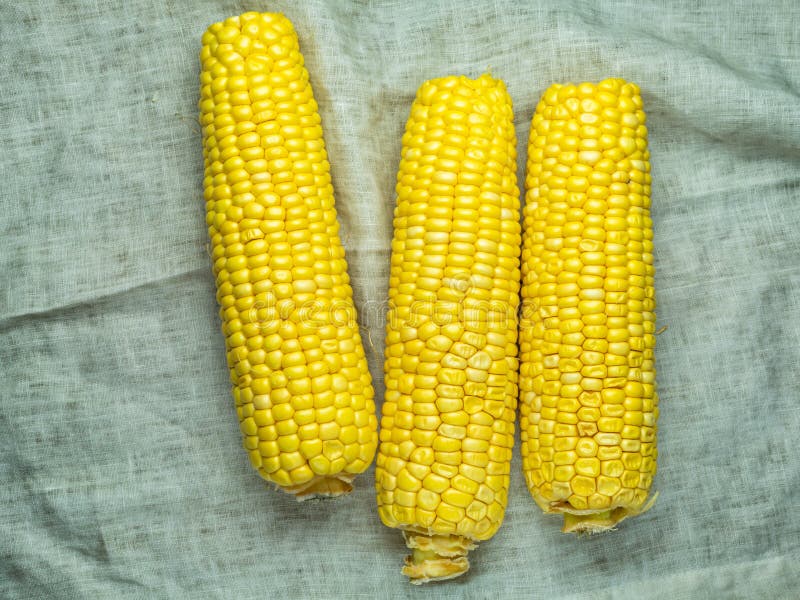 Sweetcorn, Corn on the Cob on Grey Linen Cloth Stock Image - Image of ...