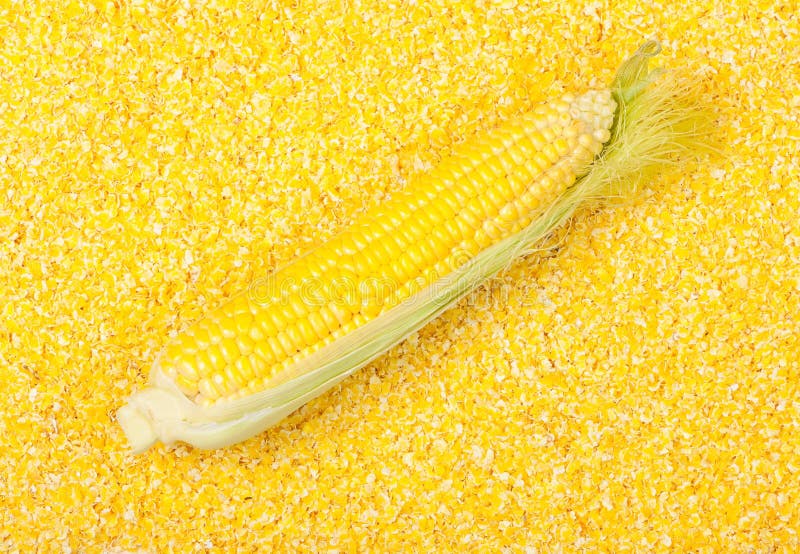 Sweetcorn ear stock image. Image of concept, abstract - 40987263