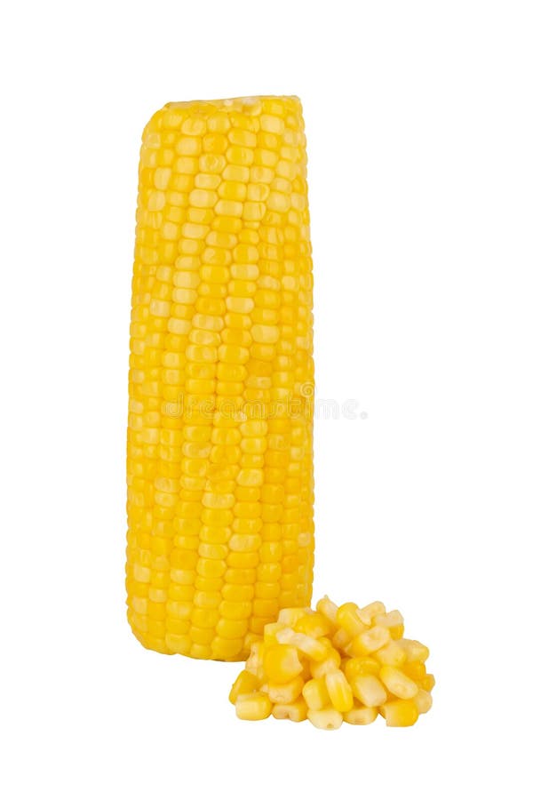 Sweetcorn Isolated on White Background Stock Image - Image of ...