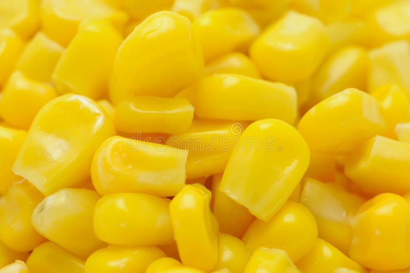Sweetcorn kernels stock photo. Image of corn, freshness - 6215274