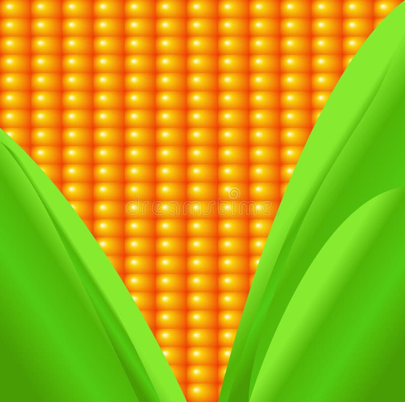 Sweetcorn Pattern with Leaves Stock Illustration - Illustration of ...