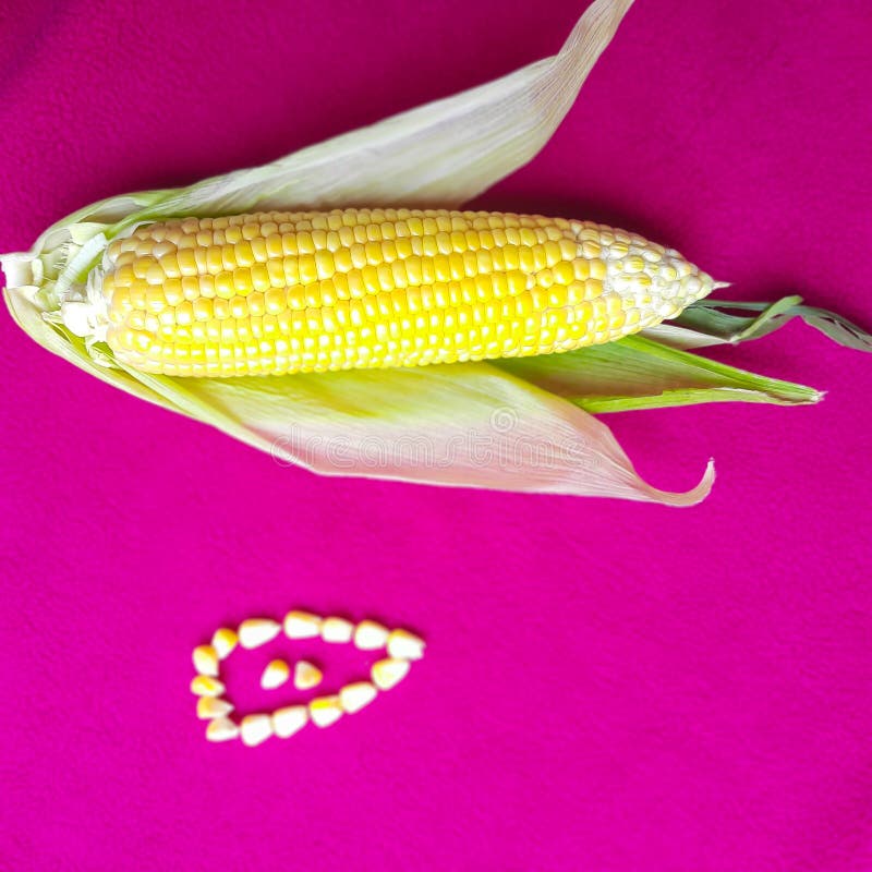 Sweetcorn with Seeds and Its Outer Cover Beautifully Placed in Pink ...