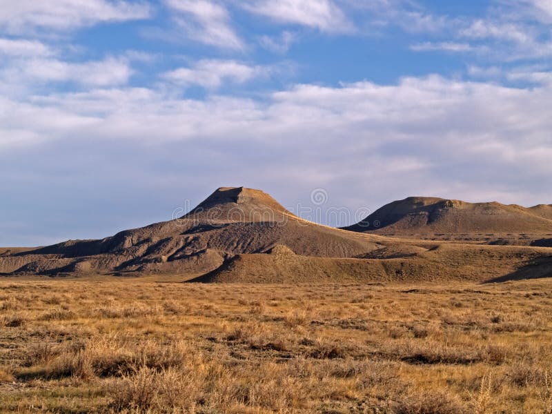 Prairie Sweetgrass Stock Photos - Free & Royalty-Free Stock Photos from ...
