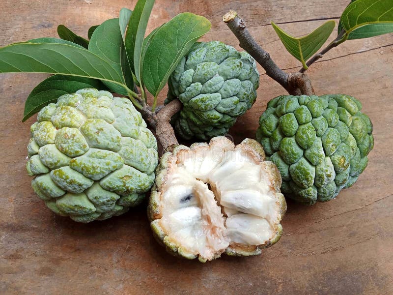 Sweetsop Fruit is a Tropical Fruit that Taste Sweet Stock Photo - Image ...