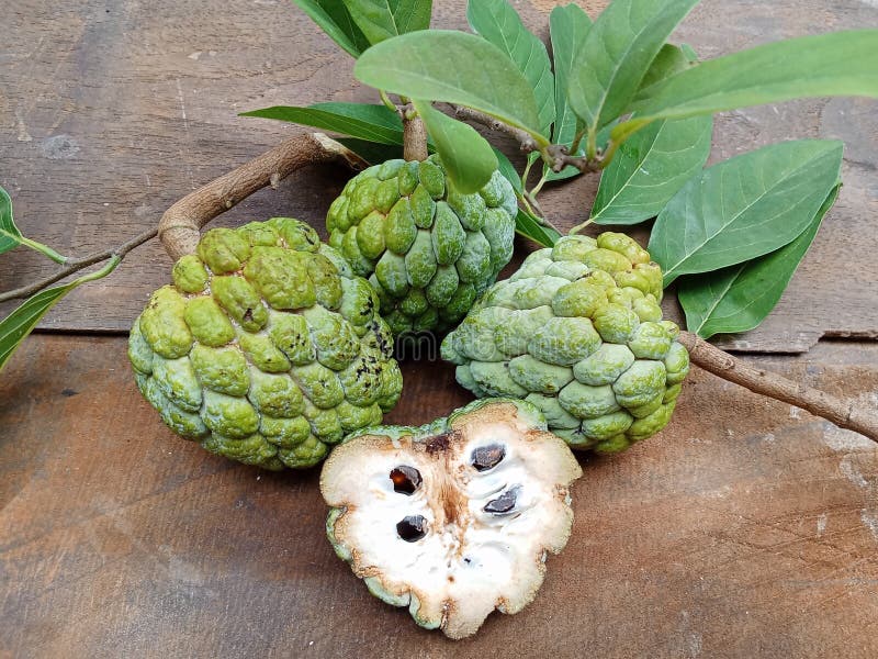Sweetsop Fruit is a Tropical Fruit that Taste Sweet Stock Image - Image ...